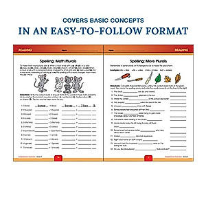 Carson Dellosa Comprehensive Curriculum of Basic Skills 5th Grade Workbooks All Subjects for Ages 10-11, Math, Reading Comprehension, Writing, Grammar, Geometry and More, Grade 5 Workbooks (544 pgs)