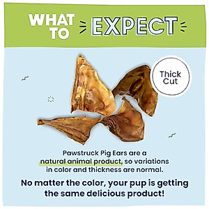 Pawstruck Pig Ears For Dogs-Bulk Pork Dental Treats Dog Chews 10 Ear(s)