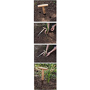 Hand Dibber with Wooden Handle, Chrome Coated Stainless Steel Head - Lightweight Sturdy Handy Seeding Garden Tool Kit for Sow Seeds (Dibber New)