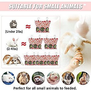 2 Pieces Rabbit Hay Feeder Bag, Guinea Pig Hay Feeder Storage Bunny Hay Bag Hanging Feeder Bag for Rabbits with 3 Holes Large Capacity for Small Animal (Strawberry+Avocado)
