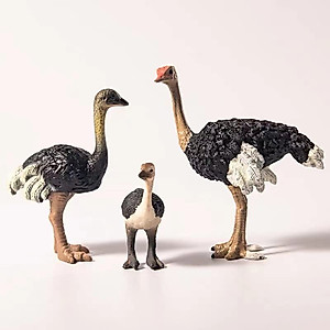 Gemini&Genius Ostrich Animal Action Figure Toys, Ostrich Animal Figurines Jungle Animal Playset Gift, Educational, Cake Toppers, Party Supplies, Animal Toy Set for Kids Ages 3+
