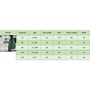 Toddler Boy Girl Football Outfits Sundays Are for the Bird Eagle Sweatshirts Top Pants Set 2Pcs Game Day Clothes (Gray Green, 2-3 Years)