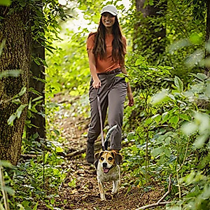 Nature′s Recipe Small Bites Chicken, Barley & Brown Rice Recipe Dry Dog Food, 4 lb. Bag