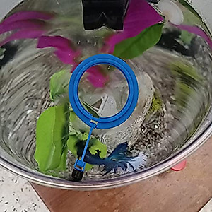 zhuohai Fish Feeding Ring Floating Food Feeder Circle with Suction Cup Easy to Install Aquarium (Round)