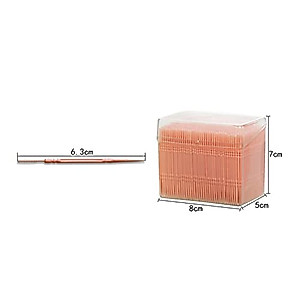 Acewen 1100 Pcs Disposable Plastic Toothpick Oral Cleaning Care Tooth Cleaning Tool or Cocktail Sticks Double Head Plastic Toothpicks Disposable Brush Toothpick