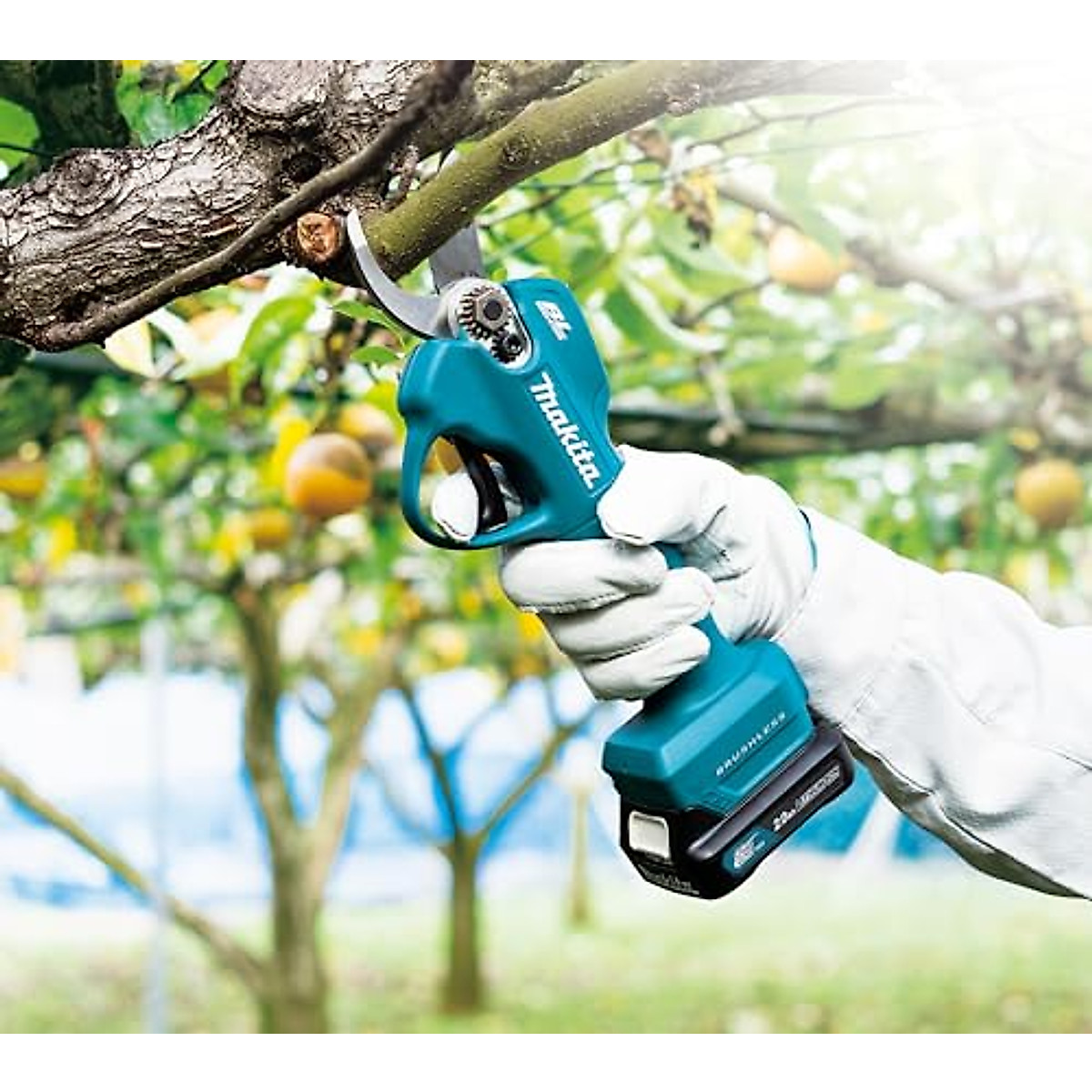 Makita UP100DZ 12V Max Li-ion CXT Brushless Pruning Shear – Batteries and Charger Not Included