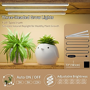 BACEKOLL Plant Stand Indoor with Grow Lights, 8 Tiered Indoor Plant Shelf, 62" Tall Plant Stand for Indoor Plants Multiple, Metal Plant Flower Holder, S-Shaped Plant Rack for Home,Patio(Patent Design)