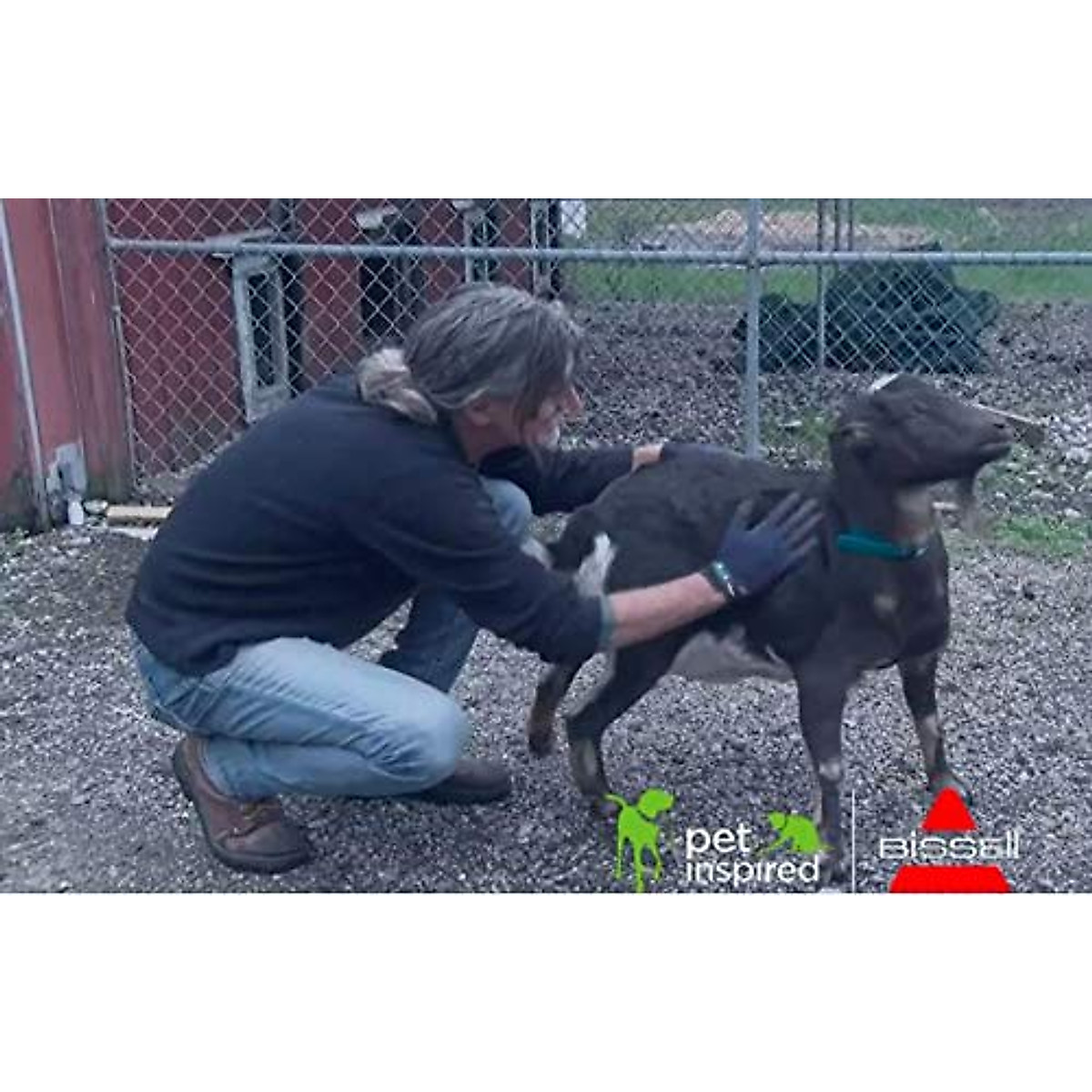 Bissell De-Shedding Grooming Gloves for Pets, Size Medium (M), 1 Pair, for Long and Short Hair on Dogs Cats and More