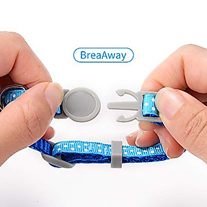 Custom Breakaway Cat Collars with Bell - Engraved Stainless Steel No Noise Slide-On Identification Tags On Collar - Up to 3 Lines of Personalized Text (Reflection)