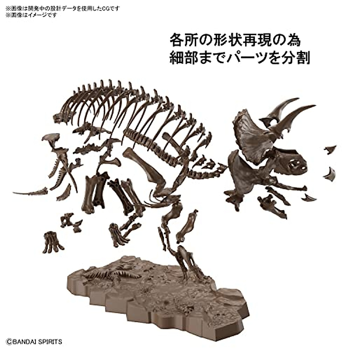 Bandai Hobby - 1/32 Imaginary Skeleton Triceratops