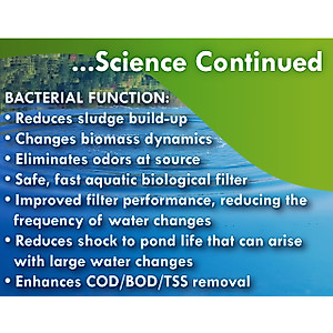 Pondworx Water Clear - Concentrated Formulation Improves Water Clarity and Quality, Helps Clear Cloudy Water, Safe for Fish, Pets, and Plant - 1 Gallon