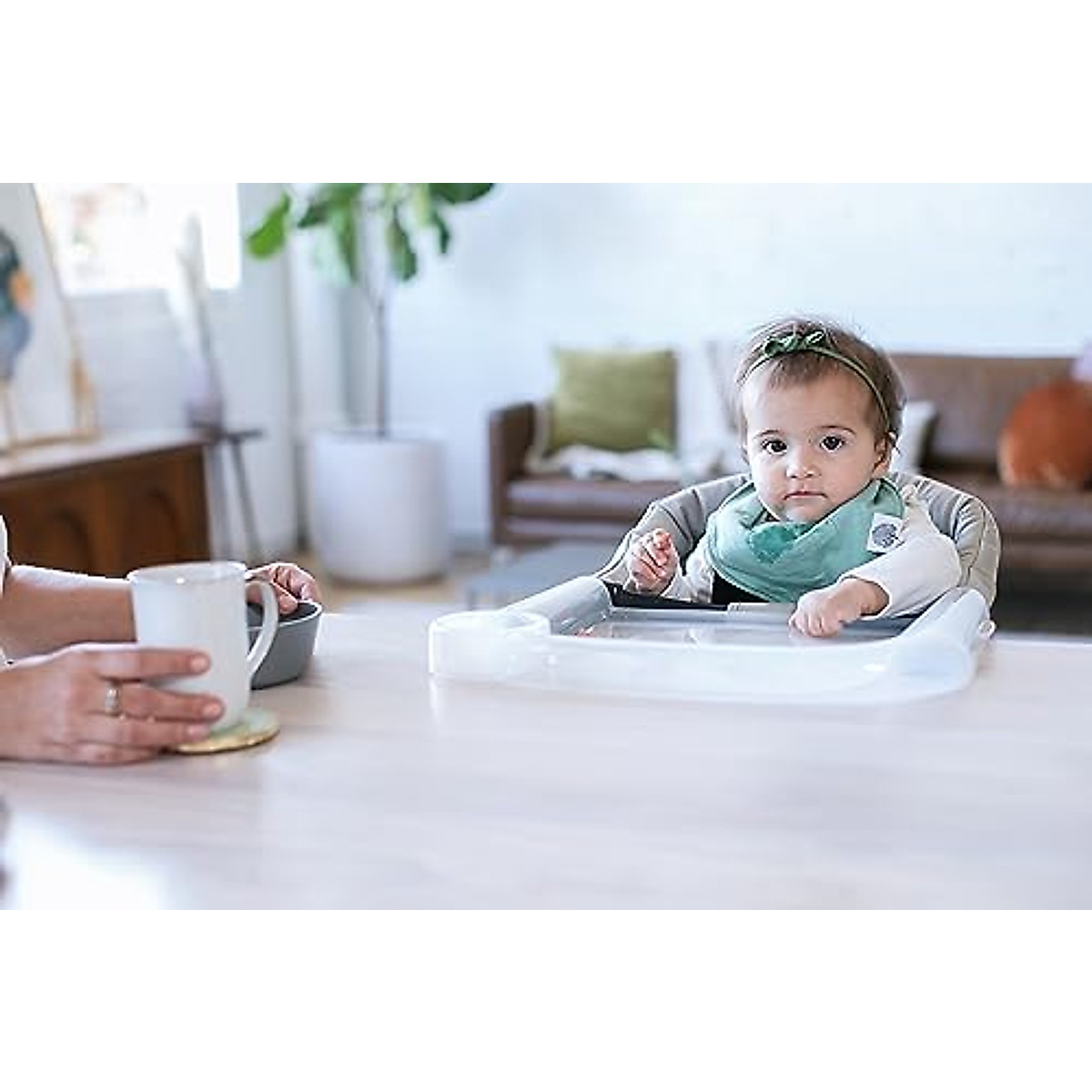 Inglesina Fast Table Chair - Award-Winning Baby High Chair for Eating & Dining - Compact, Portable & Foldable - Leaves No Scratches - for Babies 6-36 Months & 1-3 Year Old Toddler - Cream