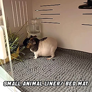 Jevnd 2Pcs Short Chenille Guinea Pig Cage Liner, Washable Rabbit Fleece Sleeping Bed Mat, Reusable Bunny Training Pad/Pee Pad/Blanket for Cat/Chinchilla/Hedgehog and Small Animals (19“x12.5” (2pcs))