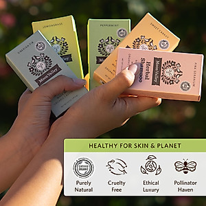 Moon Valley Organics HERBAL SHAMPOO BAR BUNDLES (Peppermint)