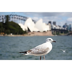 Canon EF-M 55-200mm f/4.5-6.3 Image Stabilization STM Lens (Black) International Version (No Warranty)