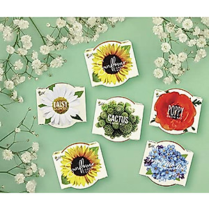 Buzzy® Terracotta Mini Grow Pots | Assorted 6-Pack | Daydream Collection | Sunflower, Daisy, Poppy, Cactus, Forget-Me-Not | Best Gardening Gifts and Favors | Growth Guaranteed