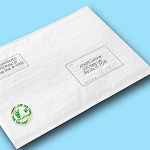 Funny You’re A Fantastic Customer Cactus Thank You Customer Appreciation Sticker Labels for Small Businesses, 60 1.5" Circle Stickers by AmandaCreation, for Envelopes, Postcards, Direct Mail, More!