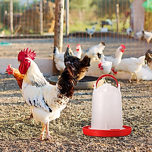 Chick Feeder and Waterer Kit Automatic Chicken Feeder 1.5L Plastic Hanging Poultry Waterer Food Feeder Set for Chicken, Quail, Hen, Duck for Farm and Coo(1.5 L, 1.5 KG)