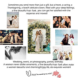 BAINESS 4 Pcs Metal U Shape Teeth Alloy Hair Accessories - Black Hair Fork Clips, Side Combs, Updo Bun Pins for Women Hair Styling