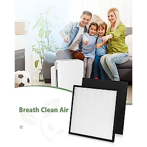 Future Way 2-Pack FLT5900 Filter J Compatible with Germ Guardian AC5900WCA Air Purifier, with 4 Carbon Filters, Part# FLT5900