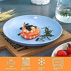 DeeCoo 10 Inch Wheat Straw Deep Dinner Plates - Microwave and Dishwasher Safe, Unbreakable Sturdy Plastic Dinner Plates - Set of 6 - Healthy Cereal Dishes/Kids-toddler & Adult