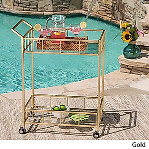 Christopher Knight Home Alice Indoor/Outdoor Industrial Modern Iron and Glass Bar Cart, Gold