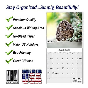 2023 2024 Lop Eared Rabbit Calendar - Cute Animal Monthly Wall Calendar - 12 x 24 Open - Thick No-Bleed Paper - Giftable - Academic Teacher's Planner Calendar Organizing & Planning