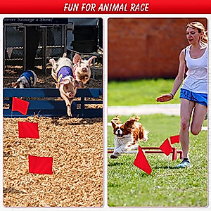 50 Pack Marking Flags Marker Flags for Lawn, IKAYAS 4 * 5 Inch Red PVC Small Yard Flags Yard Marking Flags on 15 inch Steel Wire, Lawn Flags, Yard Flags, Garden Flags