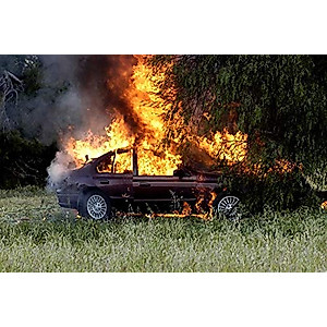 MCLEODS TÖCHTER - S.7 - MCLEOD [DVD] [2006]