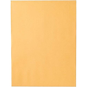 Mead Letter Size Mailing Envelopes, Clasp Closure, All-Purpose 24-lb Paper, 9" X 12", Brown Kraft Material, 20/Pack (76020)
