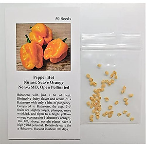 David's Garden Seeds Pepper Hot Numex Suave Orange 1199 (Orange) 25 Non-GMO, Heirloom Seeds