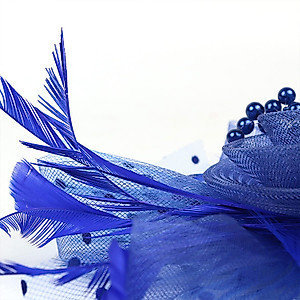 DOOVID Fascinators Hat for Women Tea Party Headband Kentucky Derby Wedding Cocktail Flower Mesh Feathers Hair Clip Royal Blue
