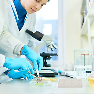 Baluue Depressions Porcelain Spot Plate 6 Wells Scientific Ceramic Spotting Reaction Plate for Laboratory Experiment Chemical Testing White