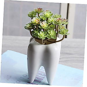 ARTIBETTER 3 Pcs Ceramic Flower Pot Succulent Pot Mini Pots for Plants Plant Pot Teeth Pencil Holder Modern Style Teeth Pot Ceramic Flower Holder Household Flower Pot at Home Planter Cactus