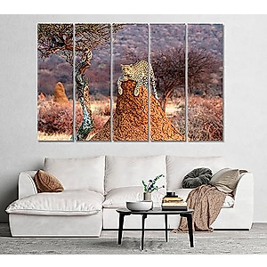 Leopard on a Termite Hill Namibia Africa Canvas Print 1 Panel / 36x24 inches
