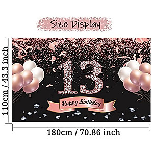 Trgowaul Happy 13th Birthday Decorations for Girls - Rose Gold 13th Birthday Backdrop Banner， Official Teenager Birthday Party Suppiles Photography Background，Thirteenth Year Old Birthday Decorations