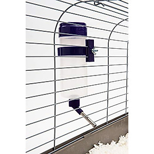 Lixit Lever Valve Top Fill No Drip Water Bottles for Rabbits, Chinchillas, Ferrets, Guinea Pigs and Adult Rats (32oz)