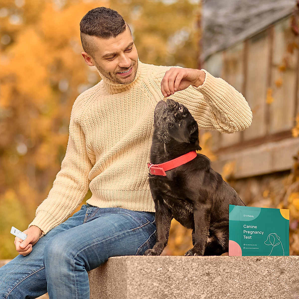 Dog Pregnancy Test for Breeders - Accurate Results and Clear Instructions - Blood Test with Additional Requirements, Check Product Details Before Purchase - at Home Canine Pregnancy Test Kit - 2-Pack