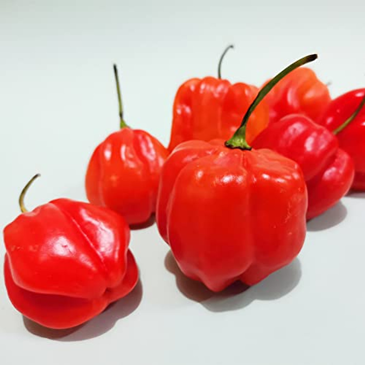 QAUZUY GARDEN 100 Seeds Aji Dulce Sweet Chili Pepper Ajicitoo Aji Gustoso Cachucha Seed Premium Non-GMO Seeds Mild Heat Delicious Pepper for Garden Home