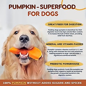 Probiotics for Dogs, Dog Probiotics for Digestive Health, Plus Pumpkin and Fish Oil, for Gut & Itchy, 120 Soft Chews