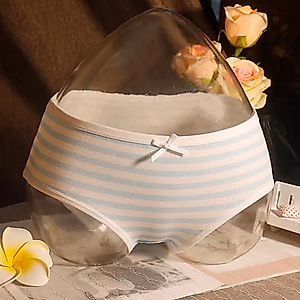 FASXIR Japanese Style Cute Striped Cotton Thong Pouch Bikini Underwear Briefs Cosplay Panties for Women Men Pack of 2 (Style 1)