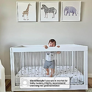 Delta Children James Acrylic 4-in-1 Convertible Crib - Greenguard Gold Certified, Midnight Grey/Acorn