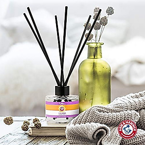 Arm & Hammer for Pets Air Care for Pet Odor Elimination | Arm & Hammer Air Care Pet Deodorizer with Baking Soda for Pet Households, Lavender Vanilla Reed Diffuser