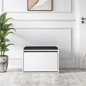 Ruumstore Tona Shoe Cabinet, 1 Flip Drawer Shoe Storage with Padded Seat Cushion