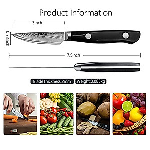 Kitory Damascus Paring Knife-3 inch Fruit Knife-Forged Fruit Knife with VG10 Damascus 67 Layers Super Steel- Black G10 Handle-Gift Box for Home and Kitchen Warrior Series
