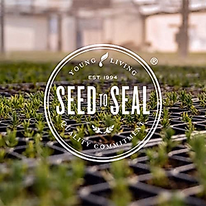 Young Living Oregano Essential Oil 15 ml Bottle - Natural Immune Support and Cleansing - 100% Pure and Potent - Strengthen the Energy Centers of the Body