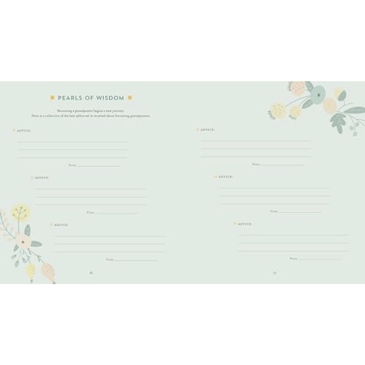 A Grandparent's Keepsake Album: Special Memories of My Grandchild’s First Years