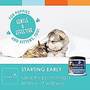 NUSENTIA Probiotics for Dogs -(360 Scoops)-Probiotic Miracle -Advanced, Species Specific Probiotics and Prebiotics to Stop Diarrhea, Loose Stool, and Yeast-Plus Immune Support