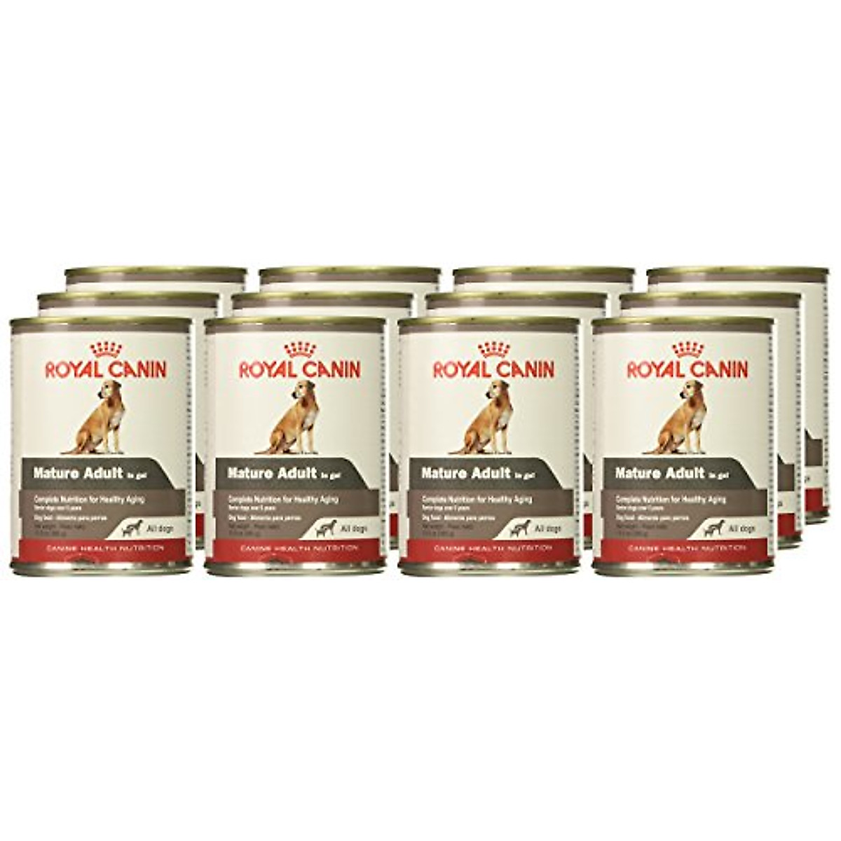 Royal Canin Canine Health Nutrition, Mature Adult In Gel Canned Dog Food, 13.5 oz Can (Case of 12)
