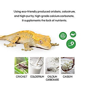 REPTQ Cricket+ Nutrients for Geckos - Protein, Lactic Acid, Vitamin D3 - Dried Insects for Crested/Leopard Gecko - High Calcium Cricket Diet Food - All Natural Gecko Food Munchies